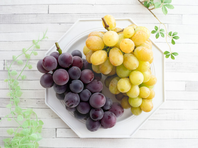 リピ買いの直売所！ぶどうを買うなら「藤森農園」 – KOSODATE BASE 浜松（旧オンモプラス）┃浜松地域を「子育てしやすい街」にする子育てしたい街づくり応援マガジン