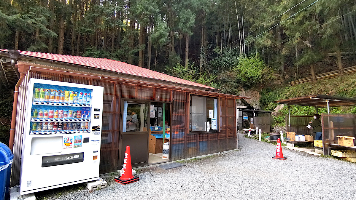 子どもと一緒にレッツらゴー♪ 気分は探検家‼︎ 鷲沢風穴を探索してみようっ‼︎ – KOSODATE BASE 浜松（旧オンモプラス）┃浜松地域を「子育てしやすい街」にする子育てしたい街づくり ...